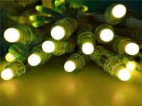 China Miracle Bean 12mm Full Color RGB Pixel String 5V 12V Addressable LED with BIS Certificate for sale