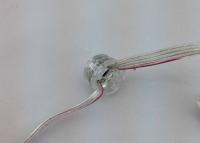 China DC 5V Full Color 5050 SMD LED Pixel Module String IP67 Waterproof 0.5W for sale
