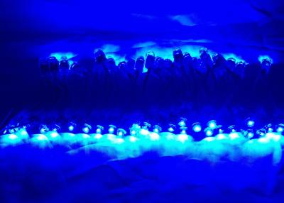China 8mm Straw Hat Blue LED Pixel Module DC 5V IP65 Waterproof for Outdoor Signs for sale