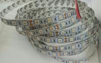 China 6W/M DC12V 24V SMD2835 5050 LED Strip Light - 30/60/120 LEDs per Meter with IP20 IP65 IP68 Protection for sale