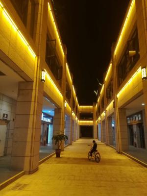 China IP66 Linear LED Light Bar 12W DC24V Outdoor Tube Light for Building Facade Landscape Lighting for sale
