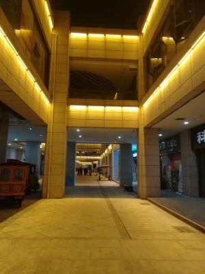 China IP67 Waterproof SMD5050 DC24V 12W LED Wall Washer 1000mm for Hotel Facade Lighting for sale