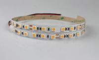 China 12V SMD5050 LED Strip Light 120 LEDs/m 5m Roll Flexible Indoor Lighting with 3M Adhesive for sale