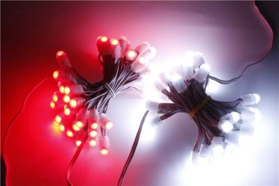 China SMD2025 12V IP67 Waterproof Pixel LED Light 0.15W 9mm for Outdoor Signs for sale