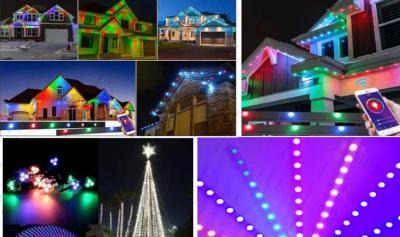 China UCS2904 RGBW LED Point Light IP67 Outdoor Waterproof 12V DC 30mm Pixel Light String for sale
