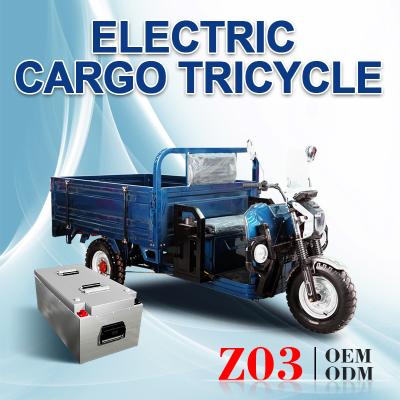 China Three Wheeler Battery Electric Cargo E Rickshaw Tricycle 2000W Fast Charging for sale