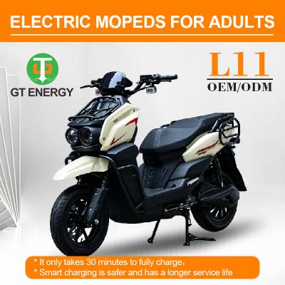 China Southeast Asia electric scooter , Adult‑Sized Electric Scooter for sale