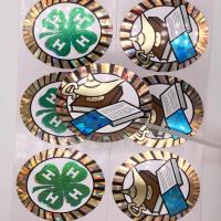 China Free Design Custom Anime Stickers Roll Children Clothes Sticker Label Anti Counterfeit for sale
