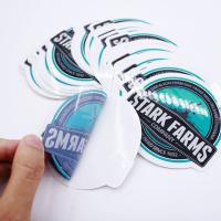 China Hologram Custom Die Cut Sticker Print Durable Waterproof Vinyl Paper Decoration for sale