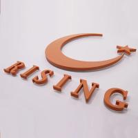 China Acrylic Backlit LED Channel Letters Stainless Steel Orange Painted 3D Sign for sale