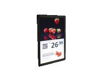 China 2025 Hot Sale LCD Price Tag 10.1