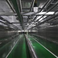 China 1500 International Type Stick Noodles Making Machine Processing Line 1500mm Roller for sale