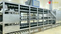 China Fully automatic ripen fresh noodle production line for sale