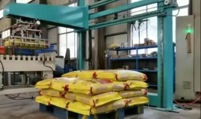 China Low Position Palletizer Equipment for 20-50kg Bags | 300-600 Bags/Hour Capacity | Industrial Packaging System for sale