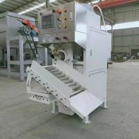China Auto Bean Valve Bag Filling Machine with 20-50kg Capacity and 3-6 Bags/Minute Speed for Powder Conveyor Systems for sale