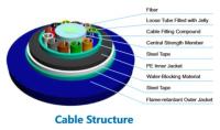 China MGTS53 Outdoor Fiber Optic Cable Double Steel Tape Armor and Double Jacket for sale