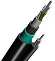 China GYTC8A53 Aerial Drop Cable , Outdoor Armored Fiber Optic Cable Double Jacket for sale