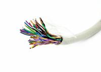 China Gray 25 Pairs CAT5e UTP Cable , Twisted Pair Cable In Networking 0.5mm Solid Copper for sale