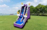 China Inflatable Purple Thunder Water Slide With Pool Outdoor Playground for sale