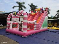 China Candy World Pink Style Inflatable Slides For Rental Event Party for sale
