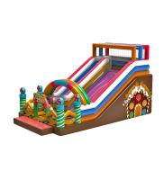 China Children Fun Park Inflatable Birthday Candles Slide For Rentals for sale