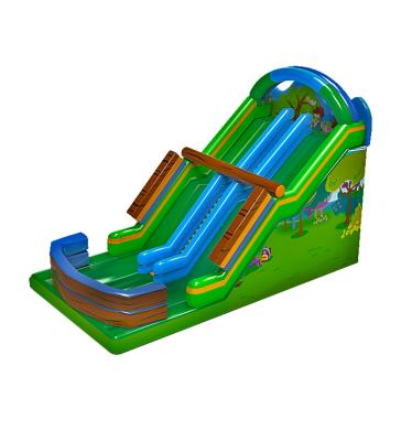 China Forest Theme Inflatable Double Lane Water Slide For Rentals for sale
