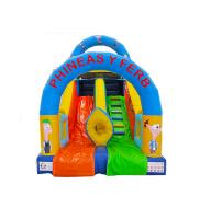 China Children Fun Park Inflatable Phineas Y Ferb Slide For Rentals for sale