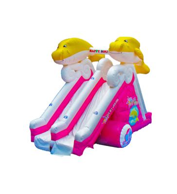 China Dolphin Double Lane  Inflatable Slide For Children Fun Park for sale