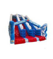 China Kids Playground Dolphin Double Lane Slip And Slide For Rentals for sale