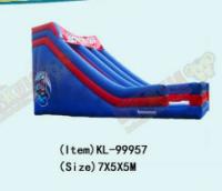 China Children Fun Park Inflatable Blue Color Slide For Rentals for sale