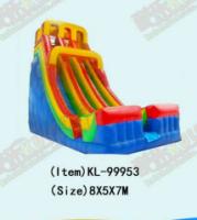 China Outdoor Large Inflatable Double Lane Slip And Slide For Rentals for sale