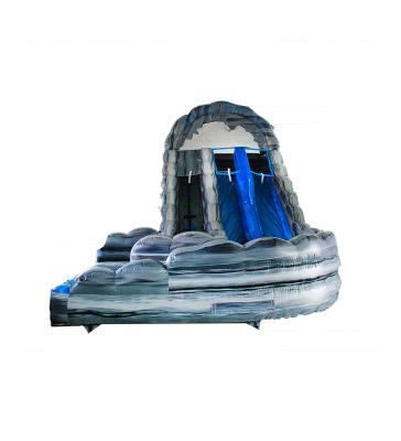China Inflatable Slides Perfect For Outdoor Events And Amusement Parks for sale