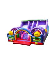 China Customize Large Two Lane Slides Purple Inflatable Bouncer Slide for sale