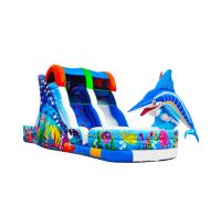 China Ocean Amusement Parks  And Backyard Parties Inflatable Slides for sale