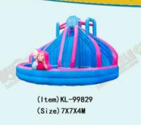 China Aldult  Outdoor Rental Inflatable Large Water Slides With Bouncy for sale
