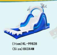 China Aldult  Outdoor Rental Inflatable Large Water Slides With Bouncy for sale