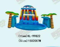 China Aldult  Outdoor Rental Inflatable Large Water Slides With Bouncy for sale