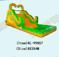 China Aldult  Outdoor Rental Inflatable Large Water Slides With Bouncy for sale