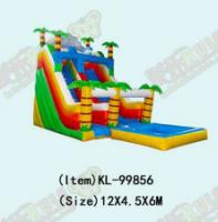 China Aldult  Outdoor Rental Inflatable Large Water Slides With Bouncy for sale