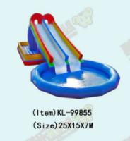 China Aldult  Outdoor Rental Inflatable Large Water Slides With Bouncy for sale