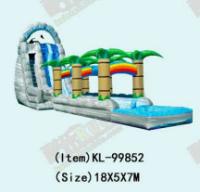 China Aldult  Outdoor Rental Inflatable Large Water Slides With Bouncy for sale