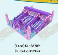 China Purple Large Slide Children Fun Park Inflatable Playground for sale