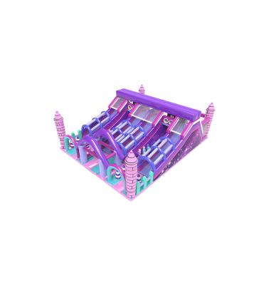 China Purple Large Slide Children Fun Park Inflatable Playground for sale