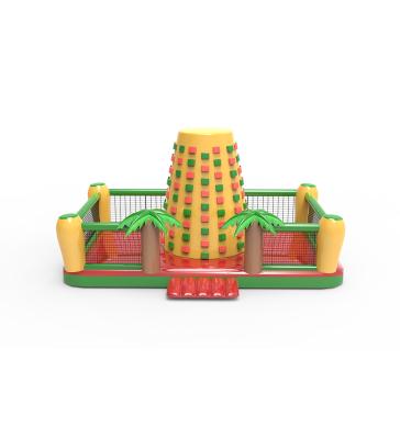 China Inflatable Rock Climbing: A Fun Outdoor Adventure Playground Tropical Palm Trees for sale