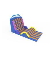 China Cheerful Inflatable Climbing Slide Decorated with Dolphin Figures on Top for sale