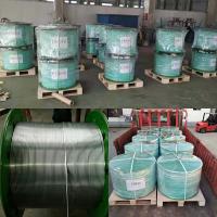China SS Oil continuous tubing, Heatwell tubing, SS chemical fulfilled tubing, capillary tube,SS Coiled tubing for sale