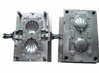China ODM OEM ASA Plastic Moulding Dies S136 NAK80 for sale
