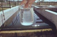 China CPAM Wastewater Treatment Chemical CAS 9003-05-8 With High Purity for sale