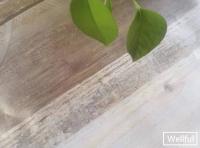 China Self Adhesive PVC Decorative Film 0.2mm 0.5mm for Wall Panels Furniture for sale