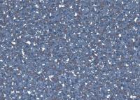 China Terrazo Stone Design PVC Decorative Film  For PVC Flooring As Decor Layer for sale